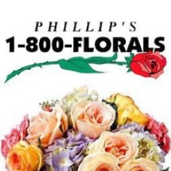 Get in the Easter Spirit with Gifts & Hallmark Easter Movies🐇