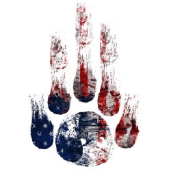 MANIMAL Affiliate Program: Commission & Program Details (2025)